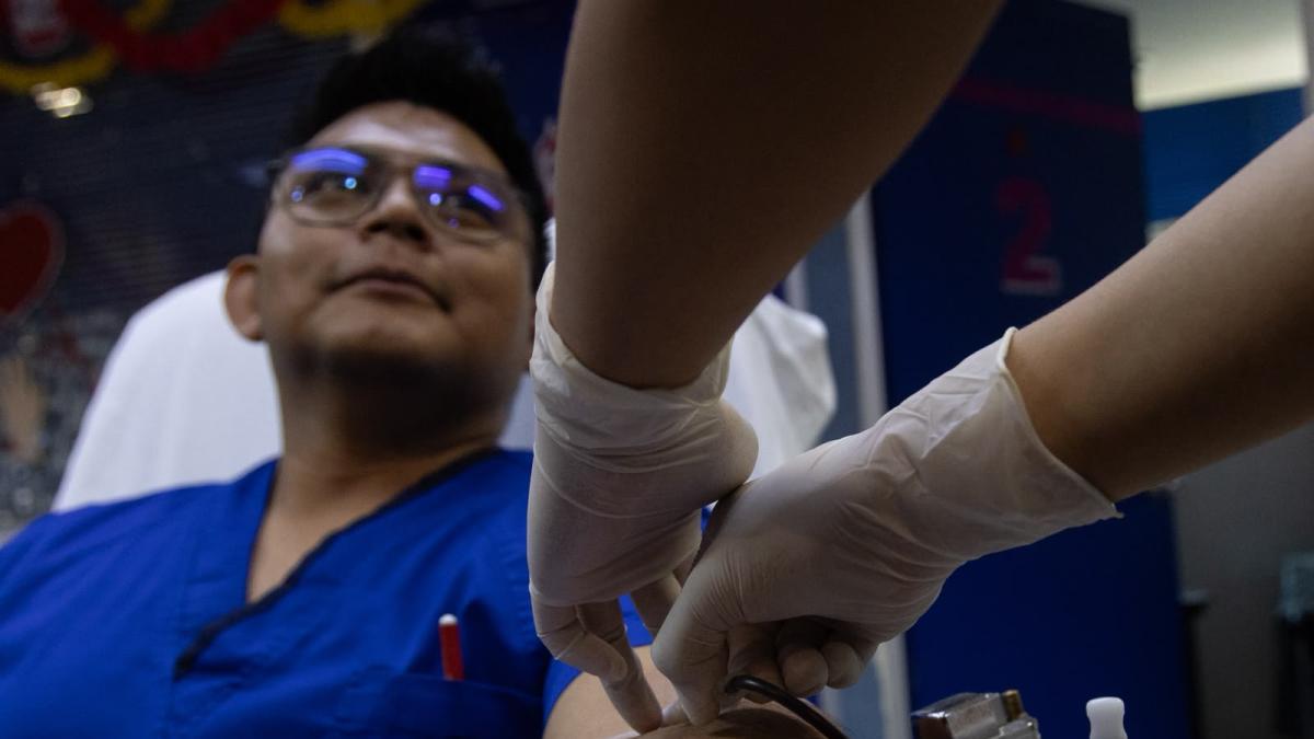 Ocho de cada 100 donantes de sangre son altruistas