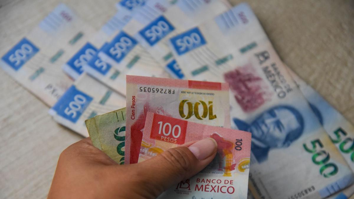 Cetes: Así quedaron los rendimientos en la segunda semana de junio de 2026